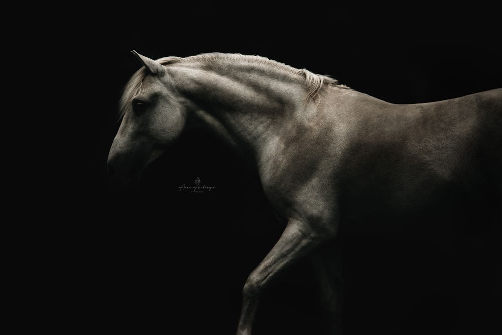 Unlocking Creativity with the Disney Method - Anna Archinger | Horse ...