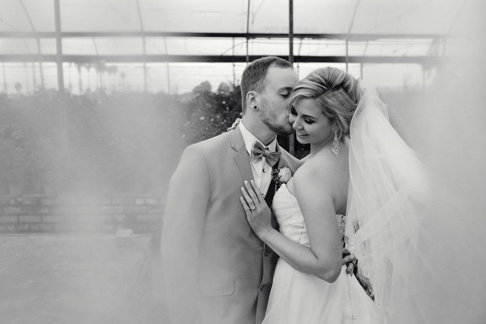 Josh & Monique | Ludwig's Roses | Wedding - Salt 'n Pepper Photography