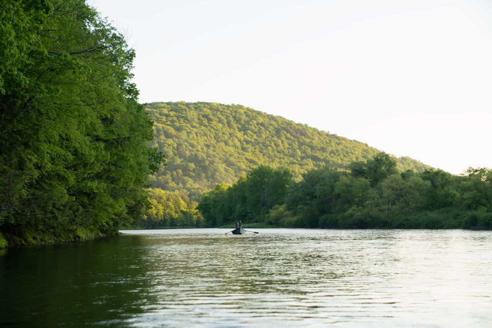Downstream and Dry - Stephen Catalano