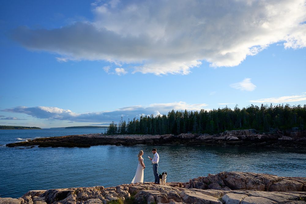 Ship Harbor Trail Elopement in Acadia National Park - BrightWorks ...
