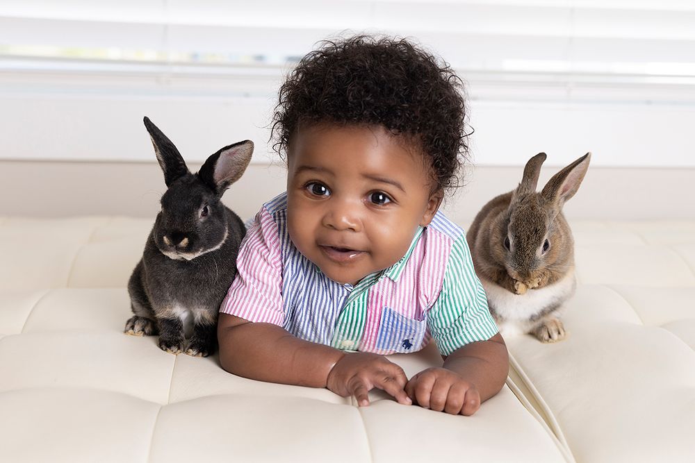 Birmingham Alabama Lamb and Bunny Mini Sessions - Meredith Rowlen ...