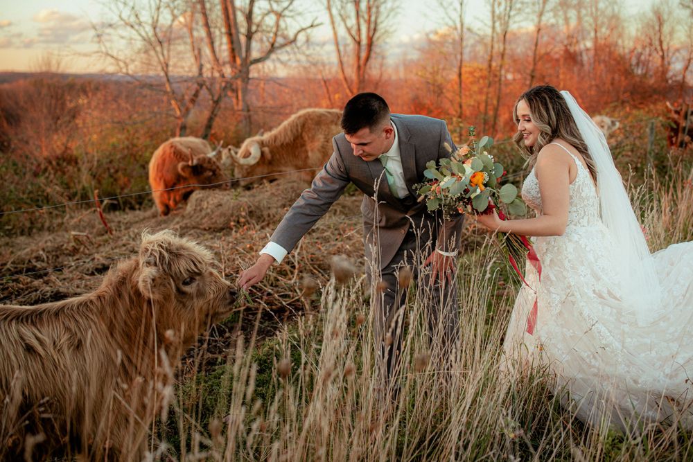 Ian + Kali's Wedding | Rivercrest Farm | Dover, OH - Cyn Davis Photography