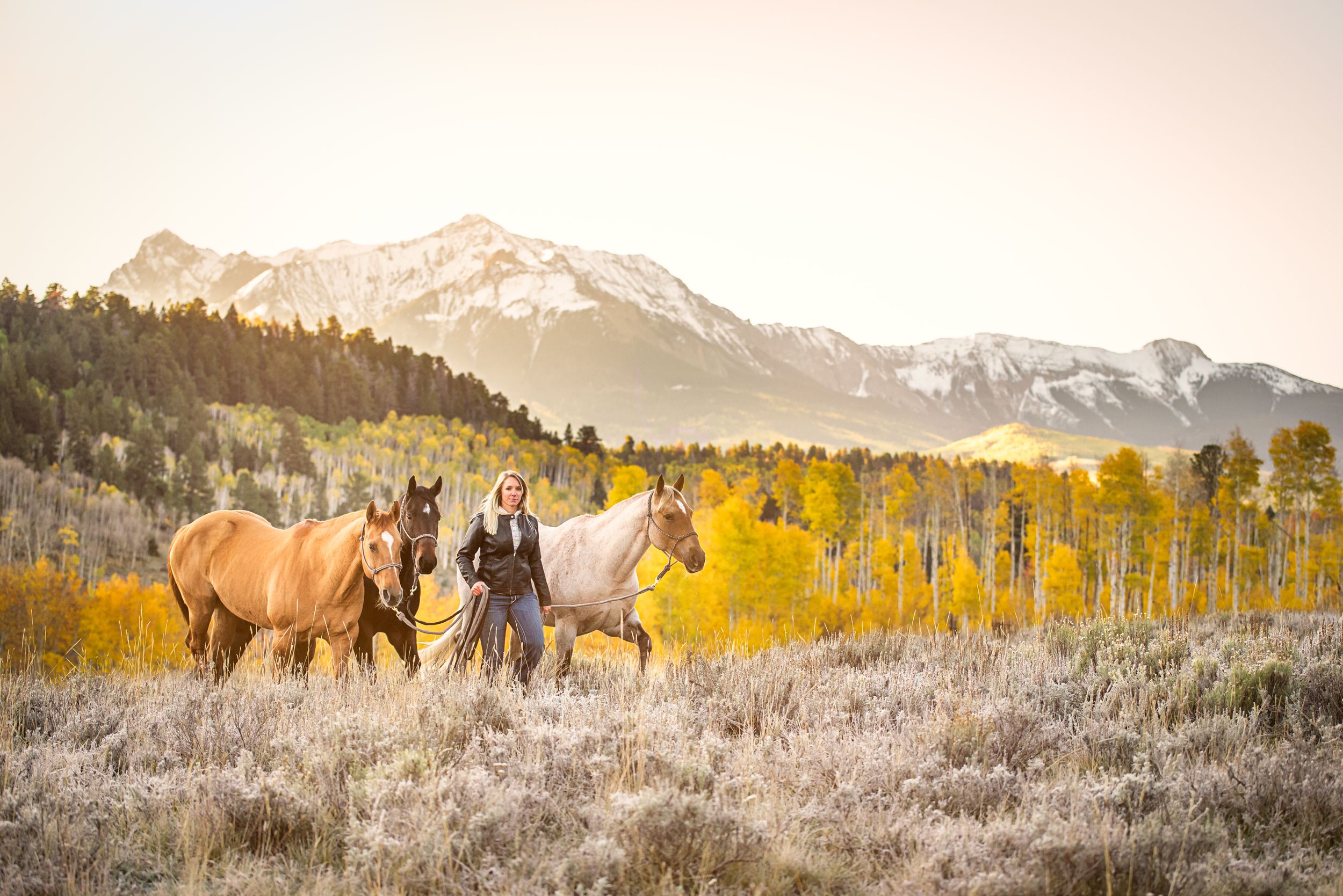 Longhorns & Lovers - Fox Trot Photography