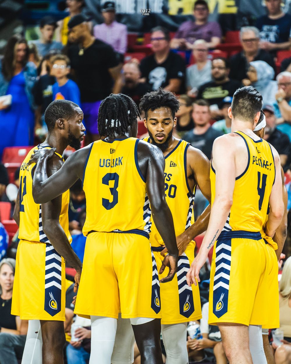Edmonton Stingers - Chase Studios | Sports Photography and Videography ...