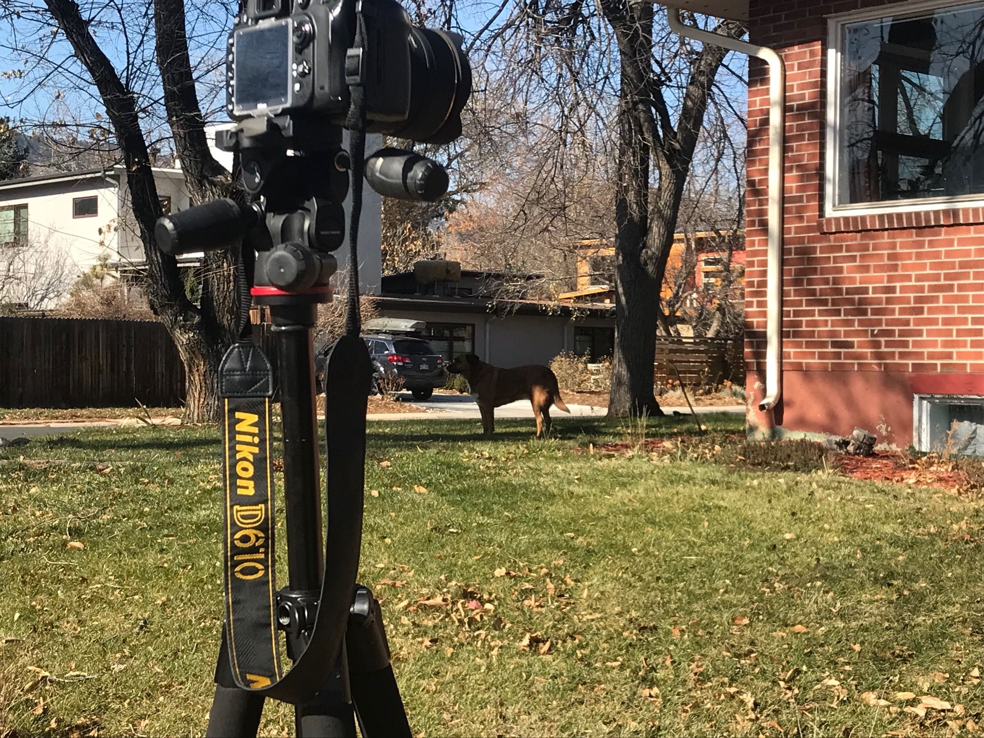 Interior Design Shoot - Zack Weinstein Photography