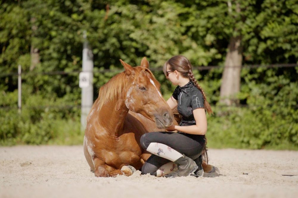 Et si vous essayiez la séance vidéo avec votre cheval ? - Margot ...