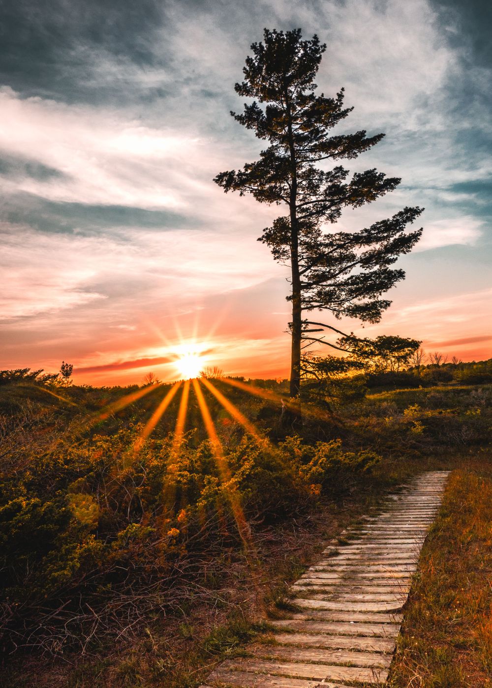 Add flair to your vacation photography this summer - Prime Image Works