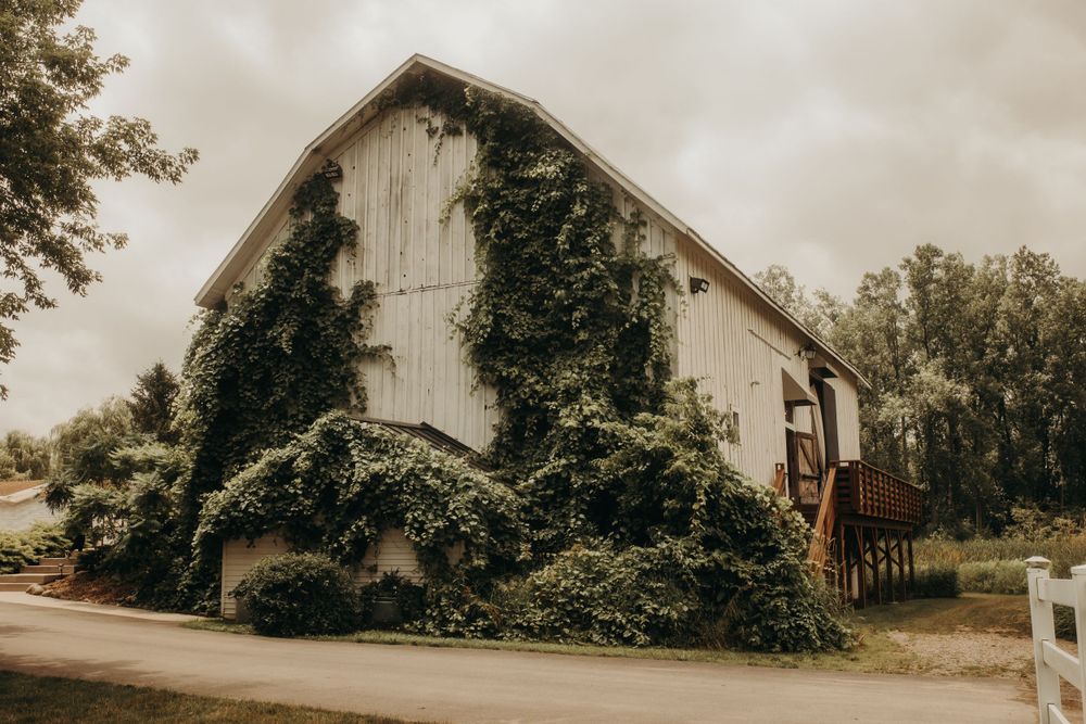 The Ultimate Guide to Michigan Elopement Locations: Hidden Gems and ...