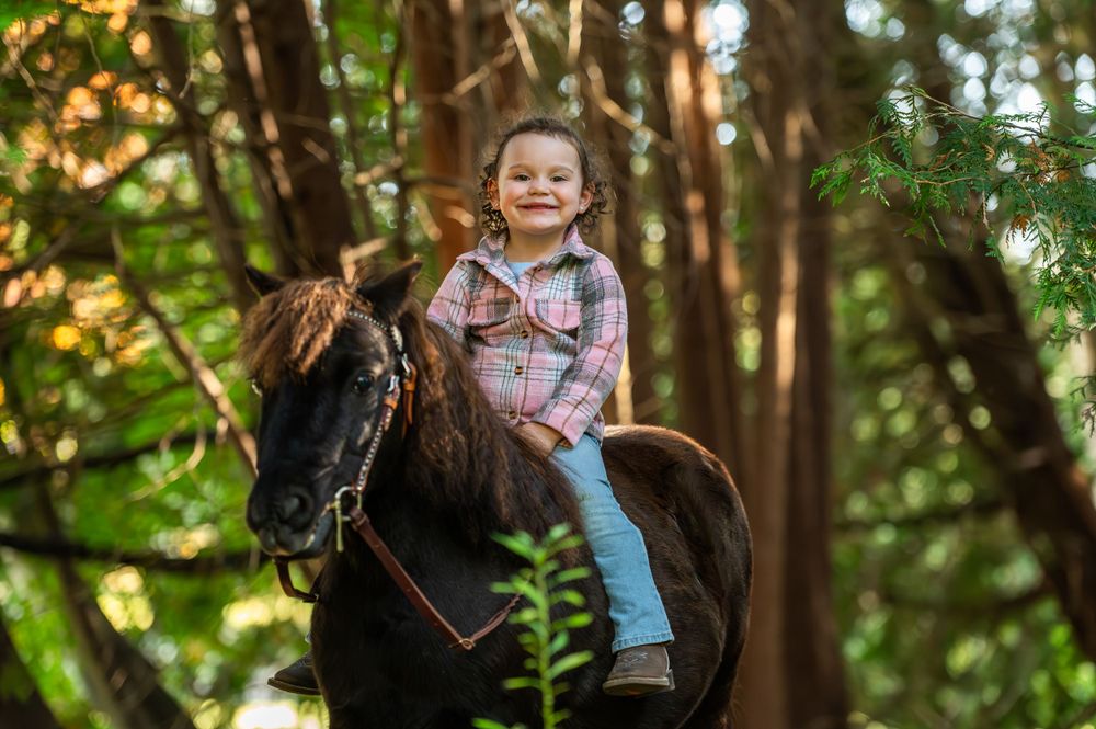 Ellie & Timbit - Fall Horse & Rider Session - Madeline Ball Photography