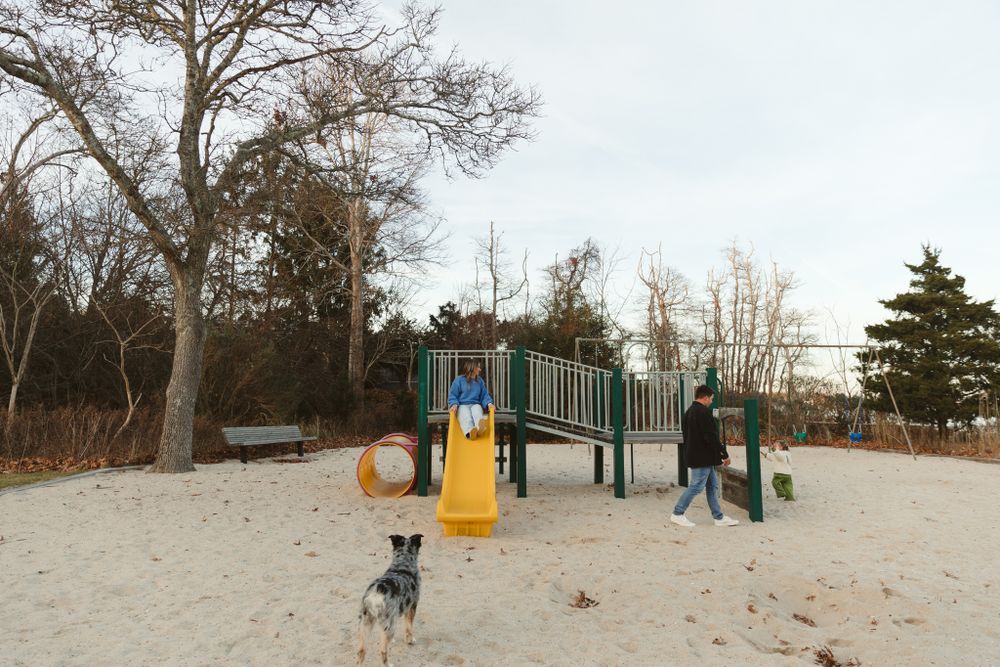 Playground fun: a family session full of magic. - Shannen Fusco Photo