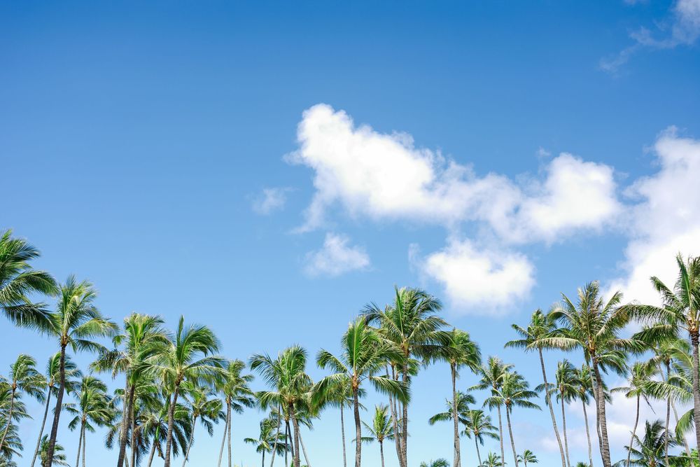 Time flies.. - Aya S. Tomikawa | Oahu Family, Maternity & Newborn ...