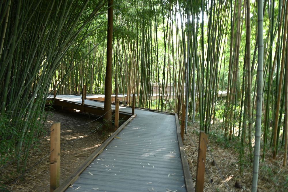 Best practices for booking a photographer - Lisa Cheek Photography ...