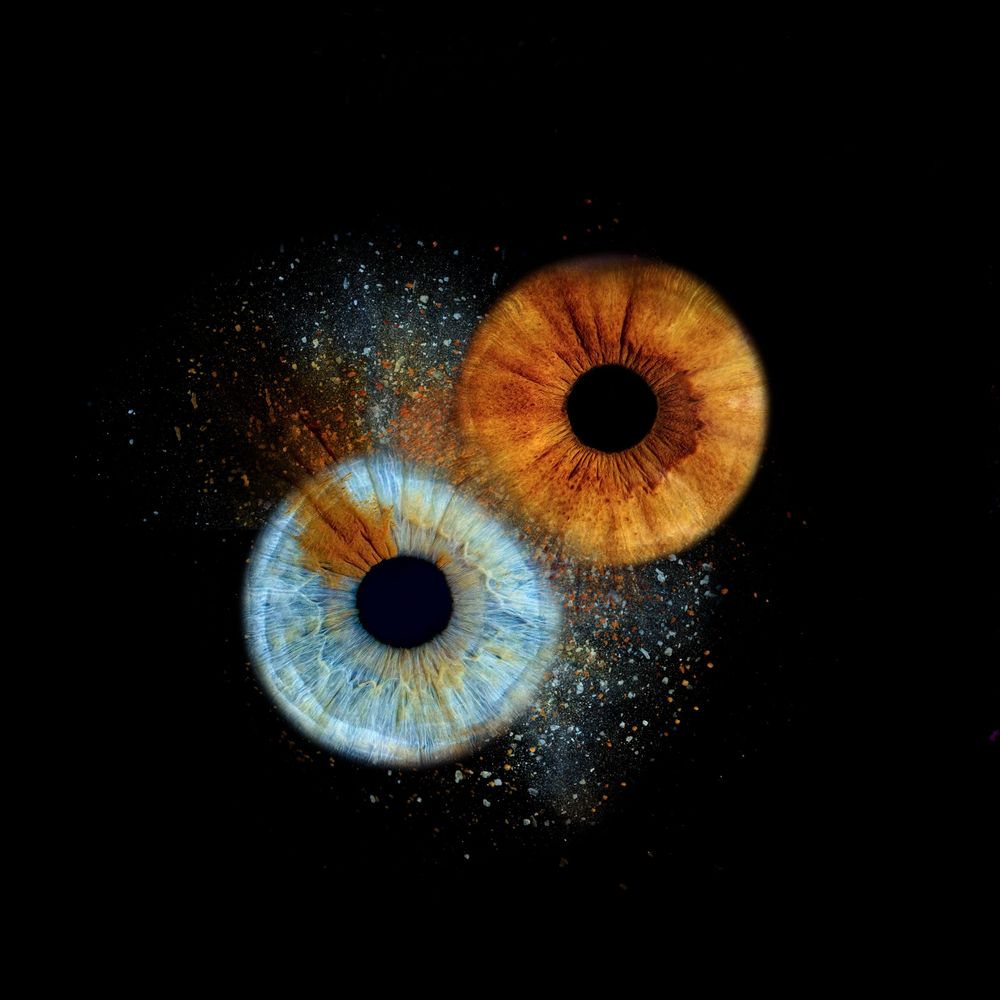 How Rare Is Your Eye Color? - Utah Iris Photographer