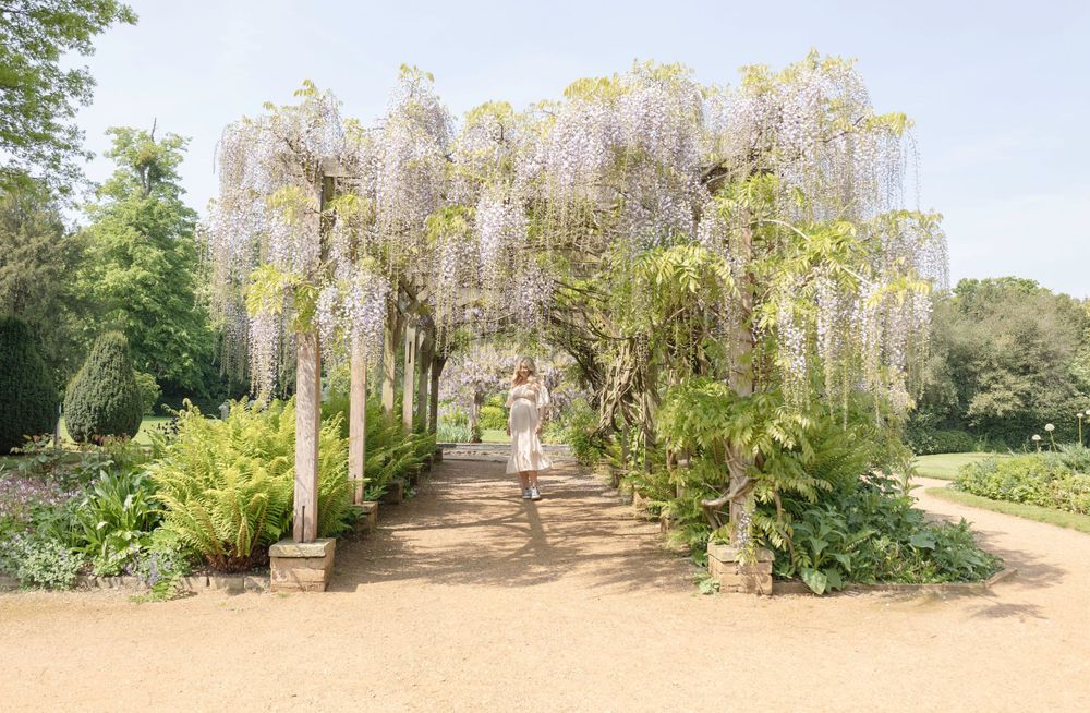 Hannah's Idyllic Maternity Session - Celia Manders Photography