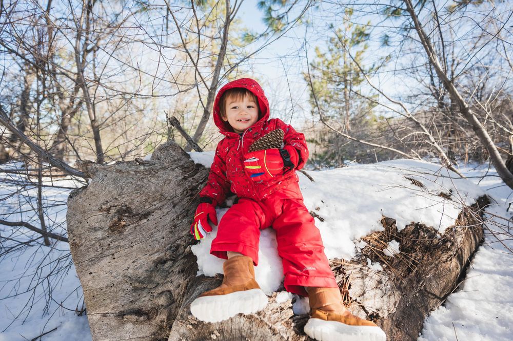 Review of the 40mm f2 Nikon Z - Nico Shirey Photography