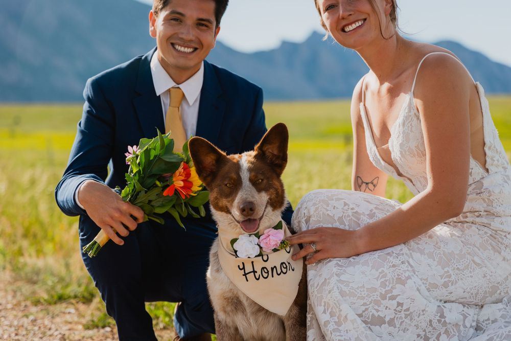 How To Include Your Pets at Your Elopement When They Can't Join You ...