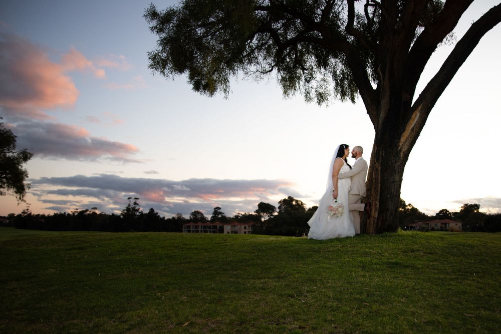 The Wedding of Megan & Stephen