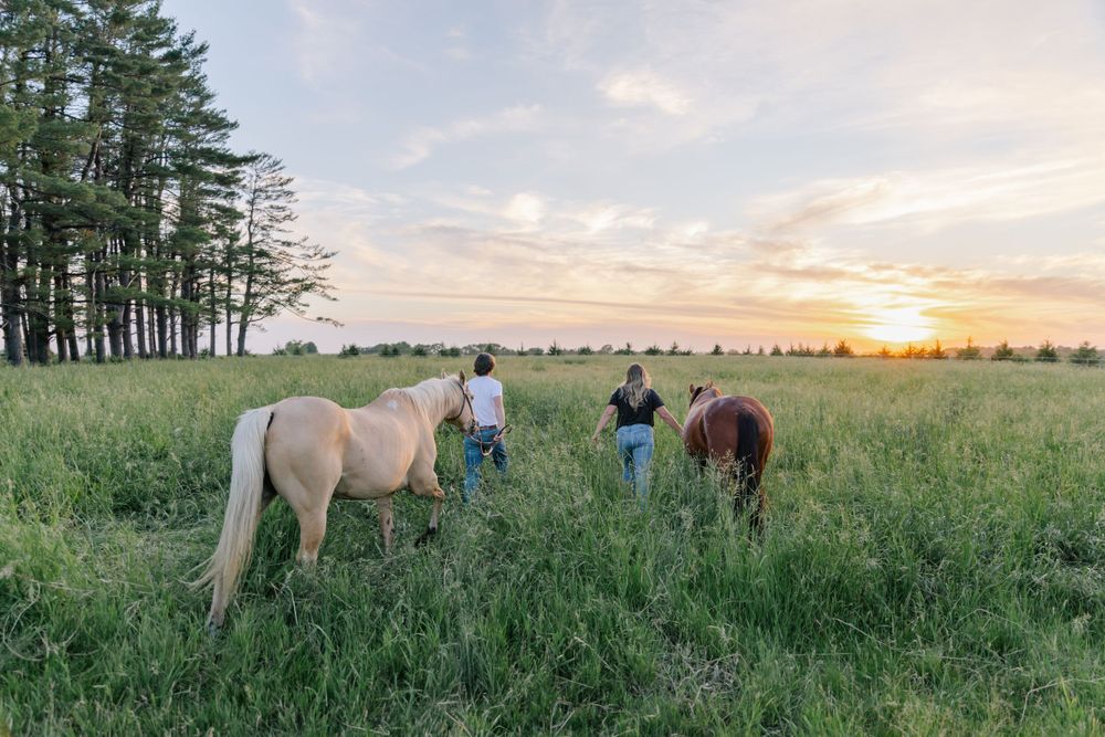 Kailey + Ben | Engagement Session - Kaleigh Rose Photography