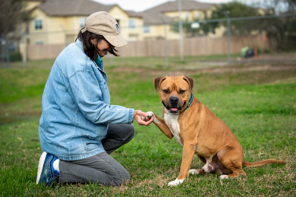 3 Ways Rescuing a Pet Changed My Life - Kelly J. Russo Photography ...