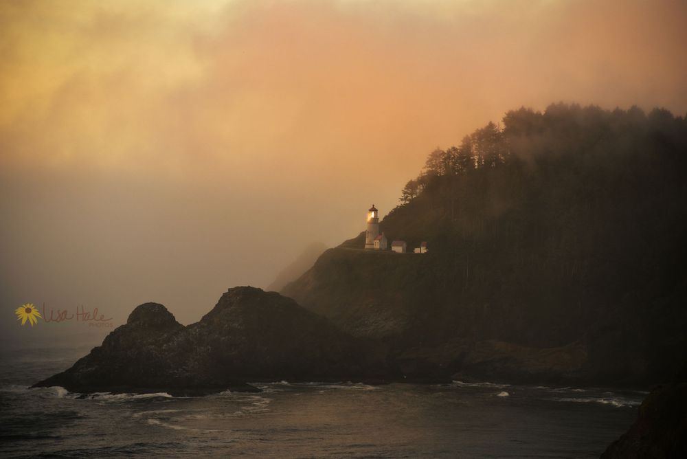 Oregon and Pacific Coast - Lisa Hale Photos