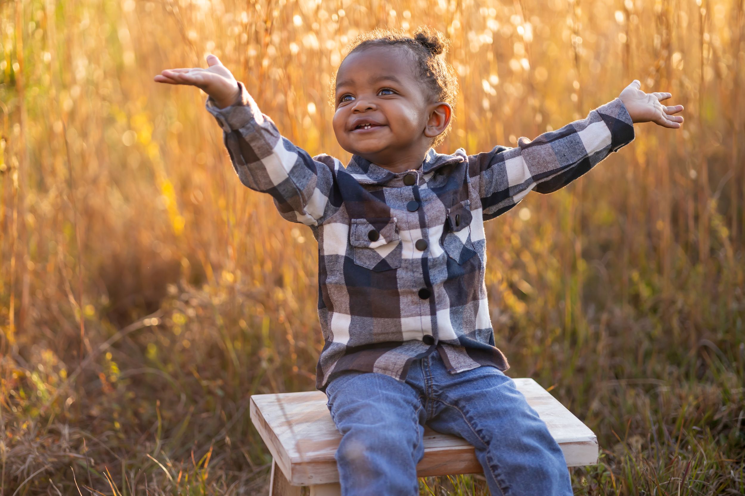 JdB Photography + Design