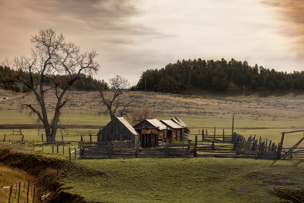 Getting started in Photography : A Personal Journey - In Motion Pictures