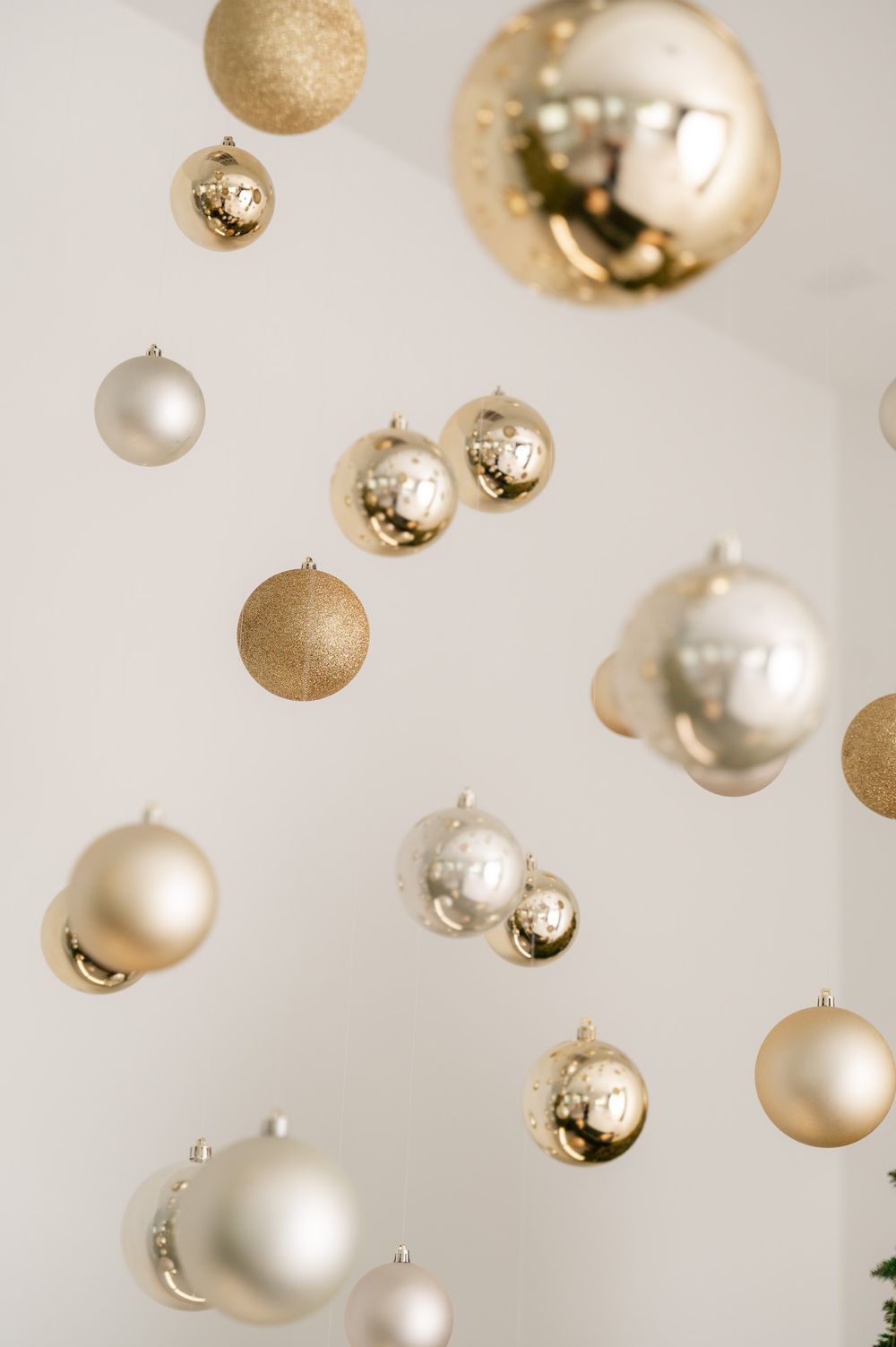 Christmas 2024 Mini Sessions - Laura Pulliam Photography