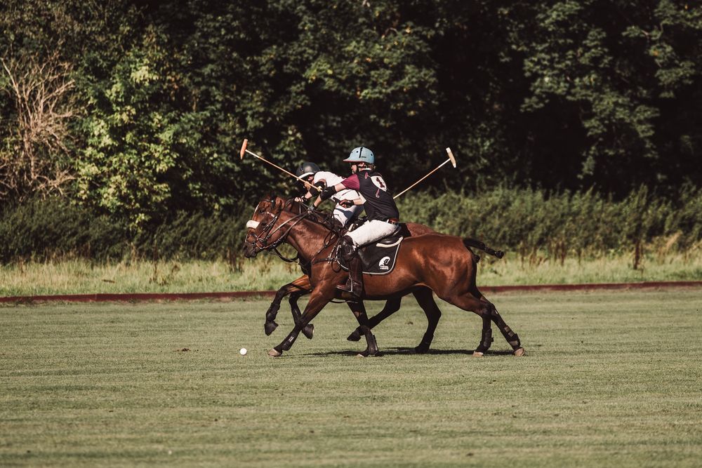 Polo Sport: The Game of the Kings - Anna Archinger | Horse Photography