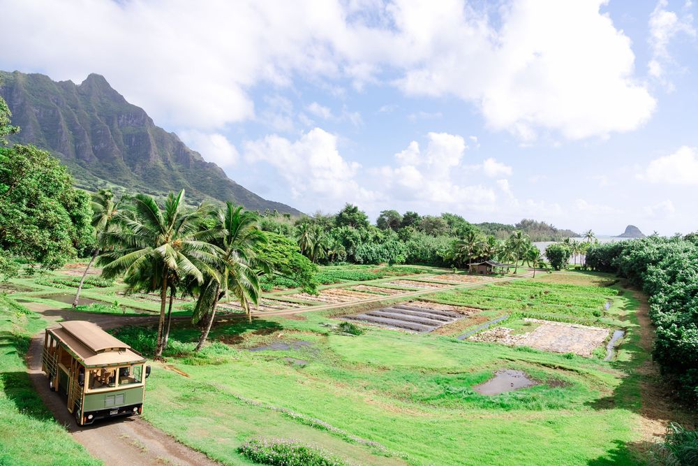 Kualoa Ranch - Aya S. Tomikawa | Oahu Family, Maternity & Newborn ...
