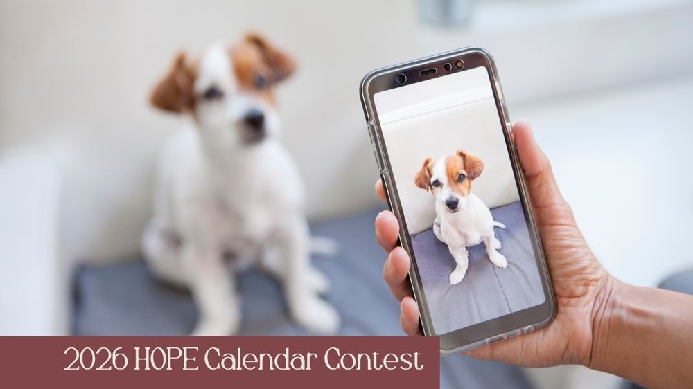 The HOPE 2026 Calendar Contest is Almost Here! - Kelly J. Russo ...