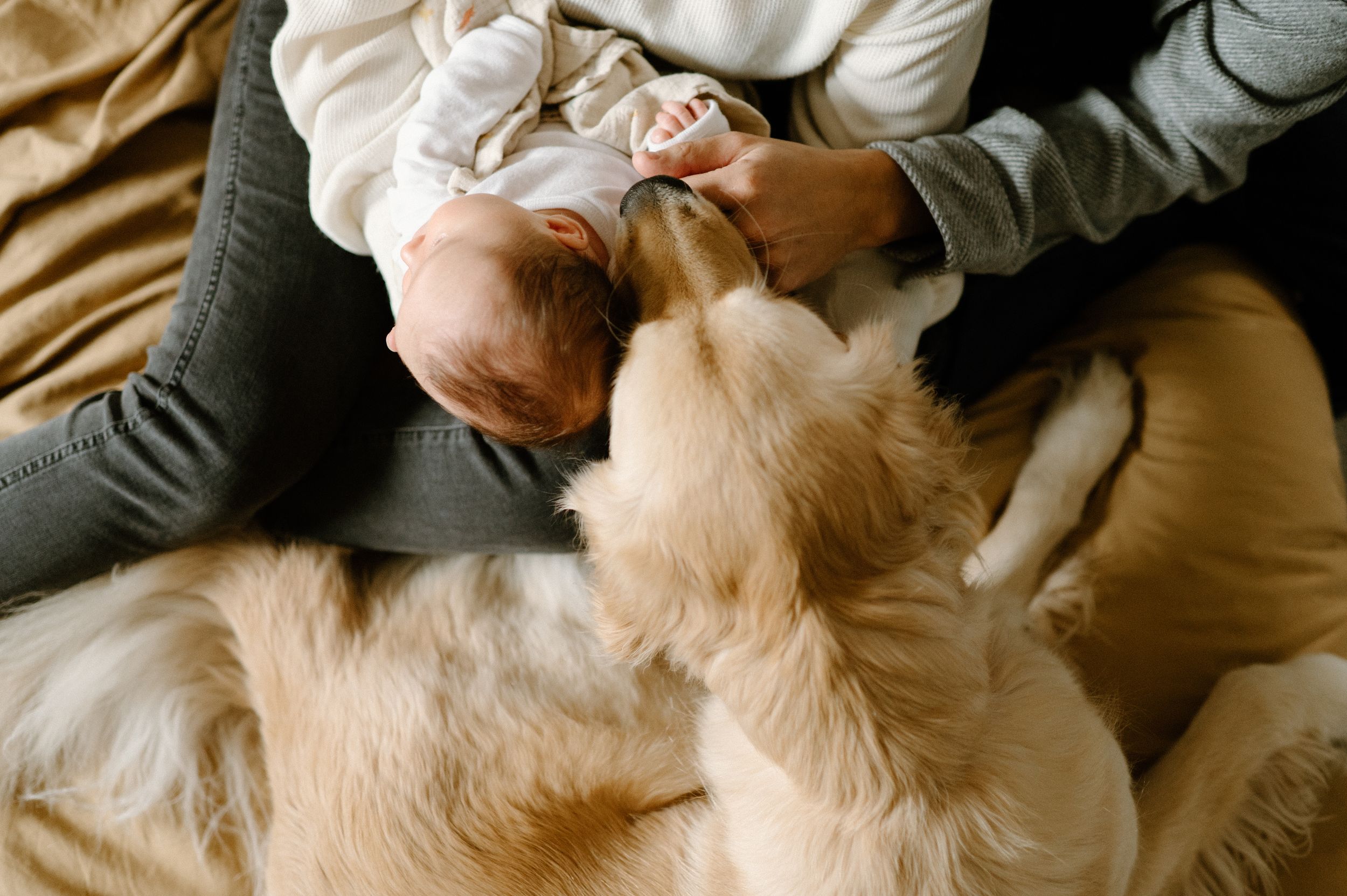 Aurora Grace Photography