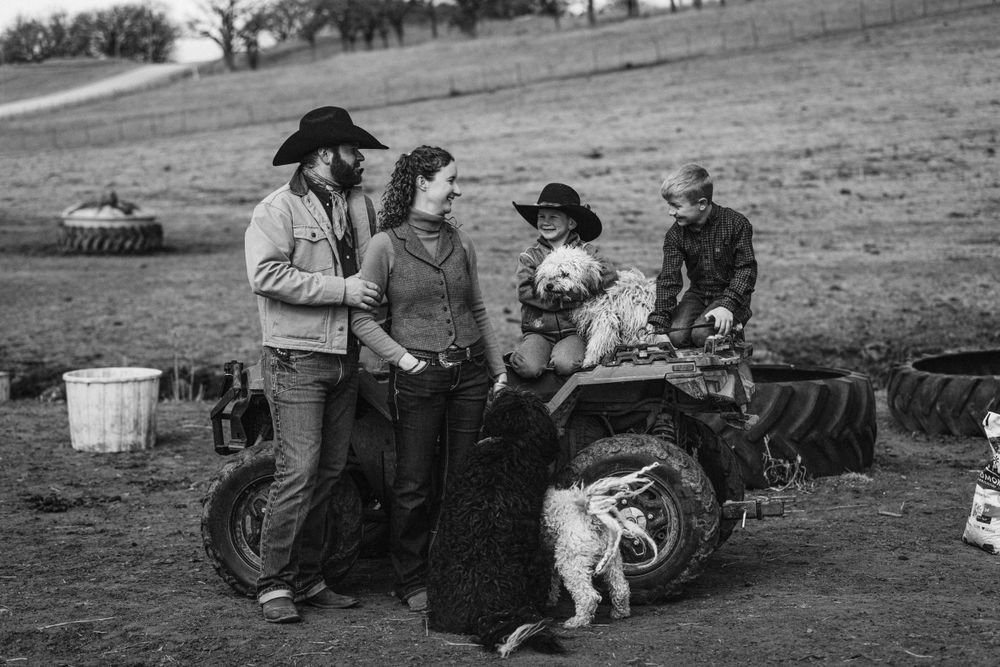 From Sweet Feed to Strategy: How a Feed Store Run-In Sparked Something ...