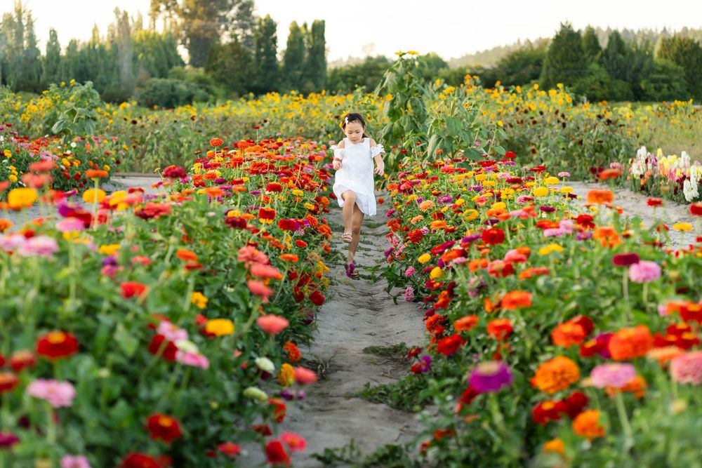 My favorite prints & products in the gallery store - Ling Ling Zheng ...