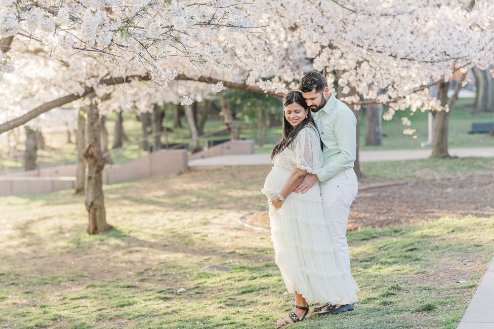 Tidal Basin Cherry Blossom Maternity Photos with Arpitha & Shiva ...
