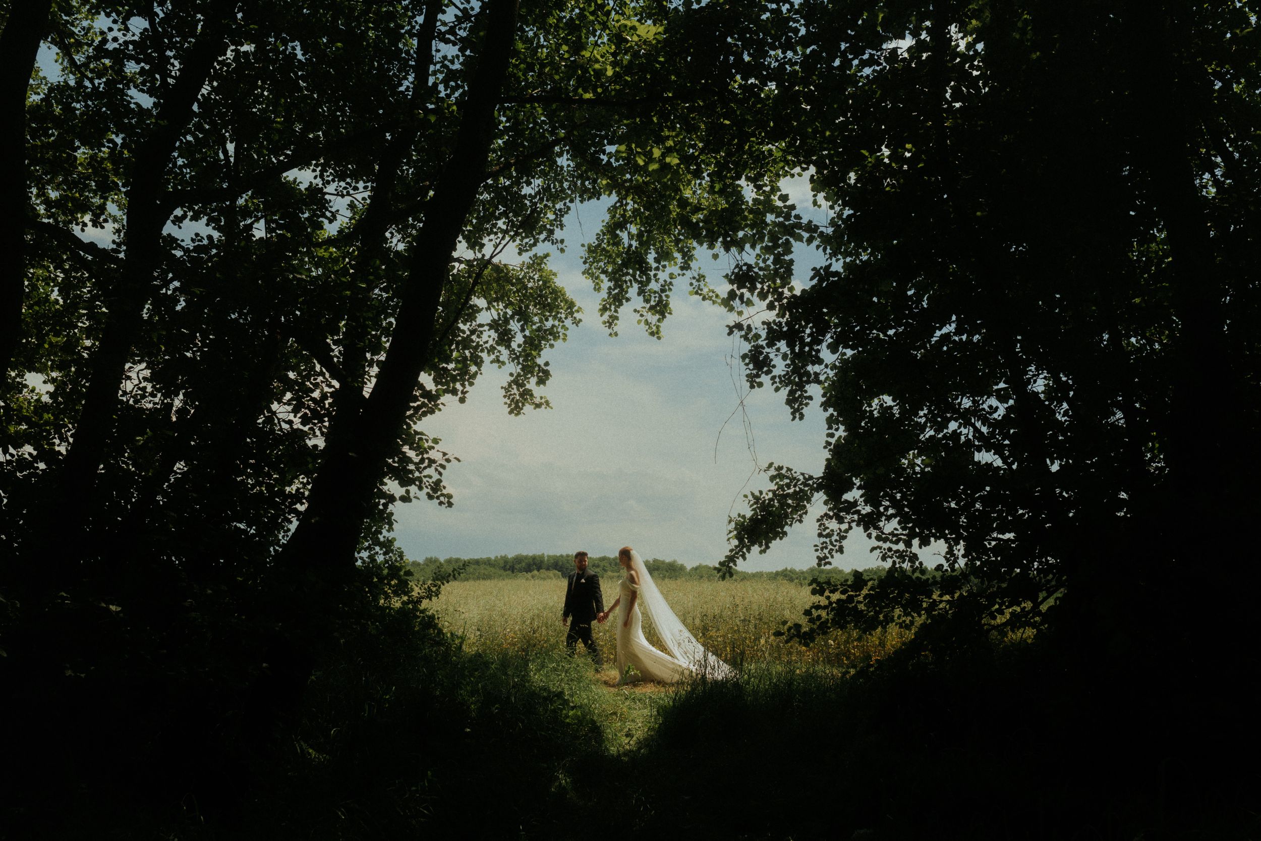 Cris + Alex - Jigovan - fotografie + film de eveniment
