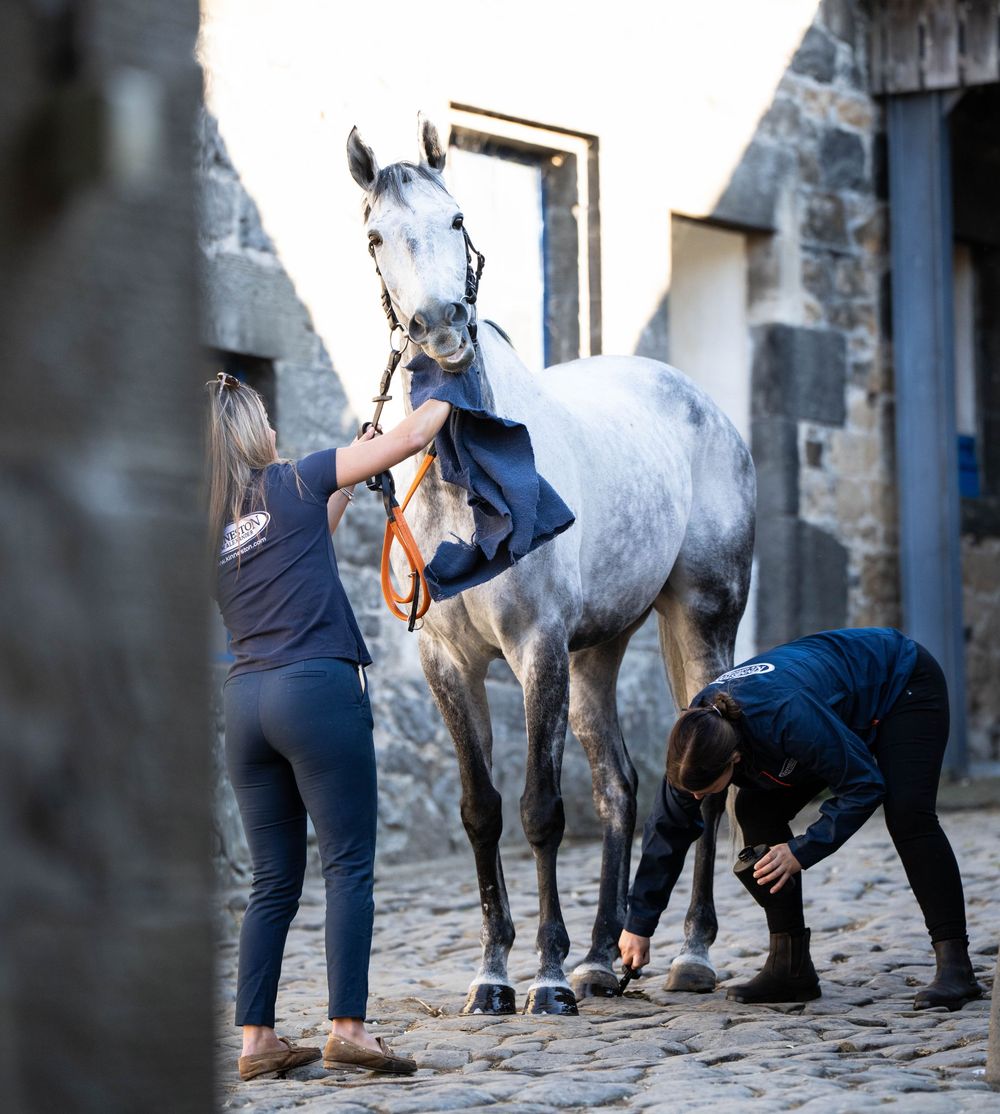 Kinneston racing - Onwer's Day Parade - Carenza Pinn Photography