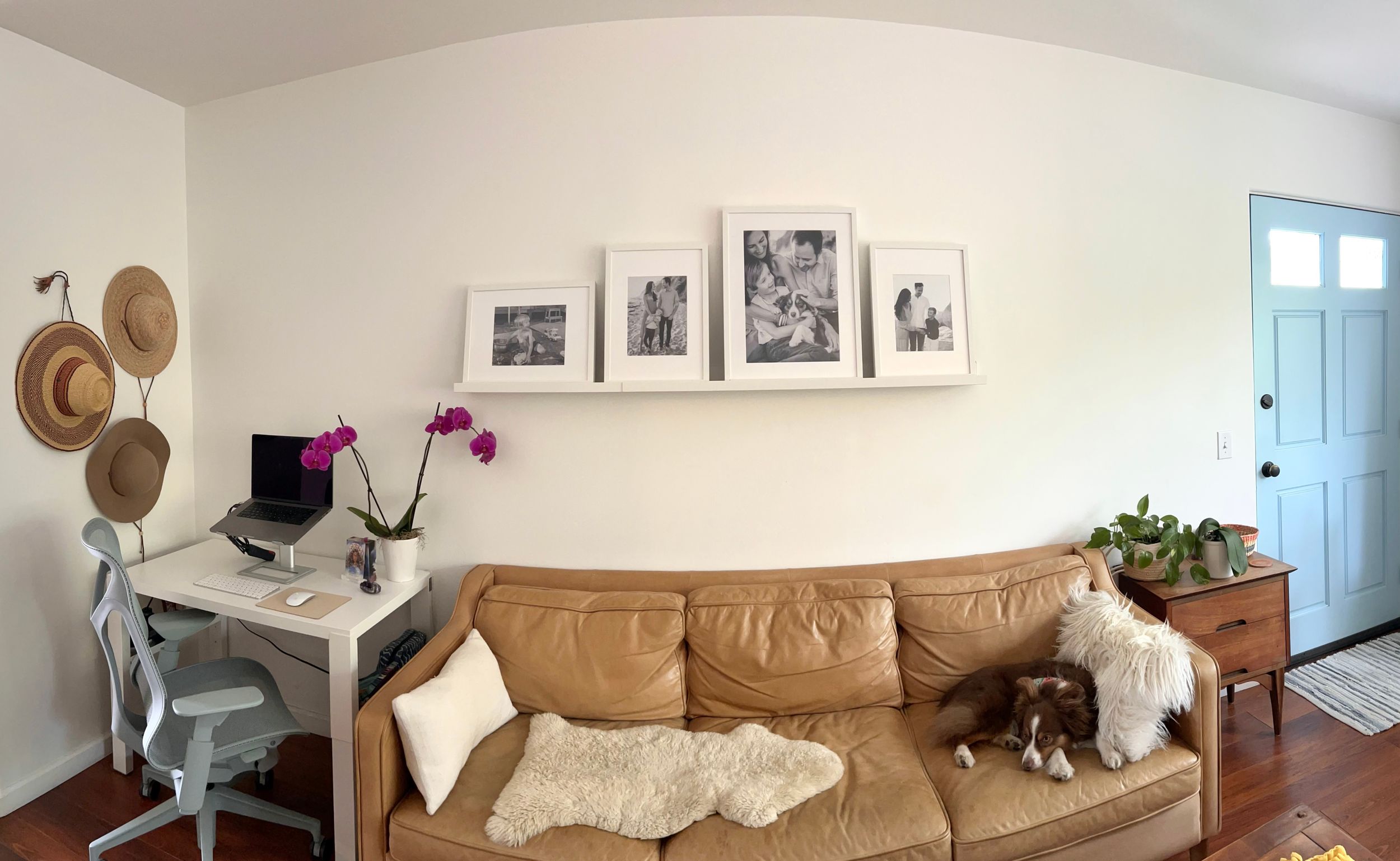 Family Picture Display Ideas - Tristin Tracy Photography: Family ...