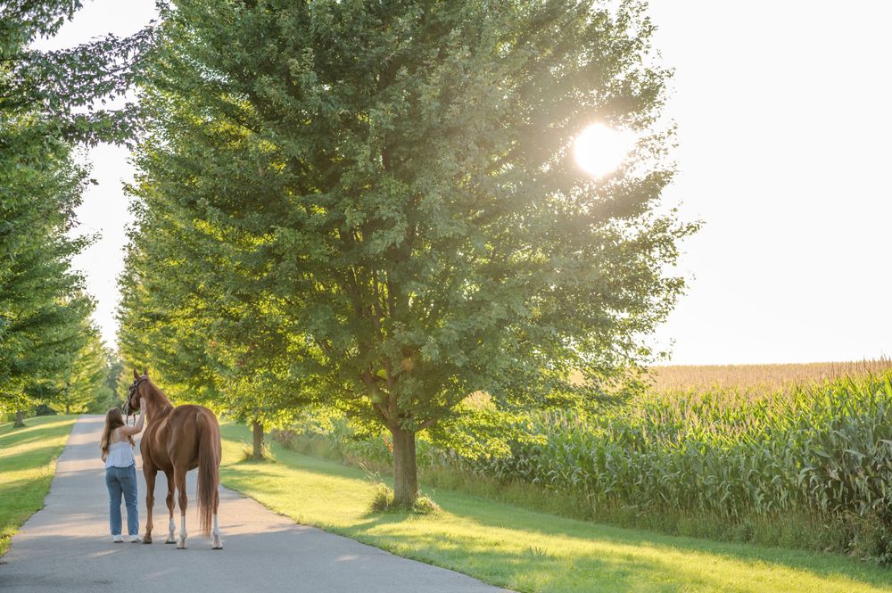 Madi & Danny - Fall Horse & Rider Session - Madeline Ball Photography