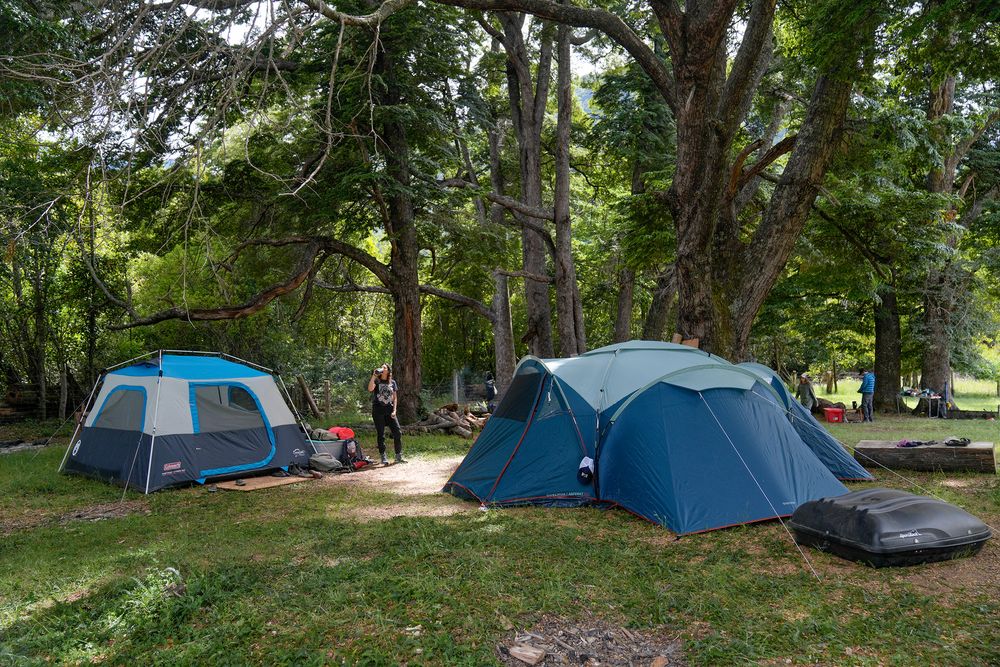 Acampando con niños: Diversión y Aprendizaje al Aire Libre. - FORASTERAS