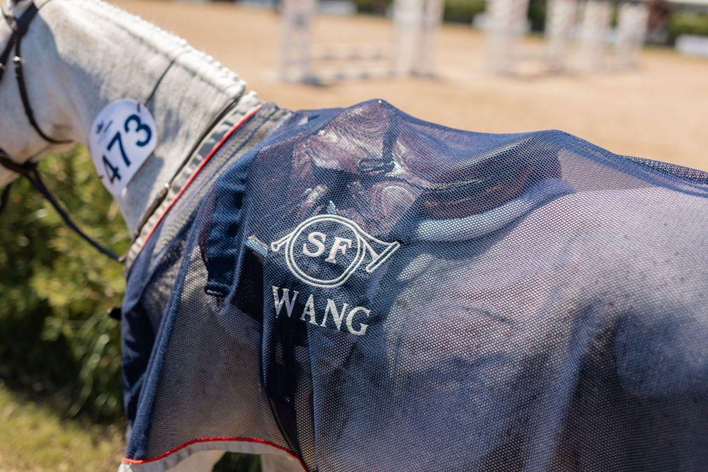 ALEXA WANG & Howie Do IT | AST: Erin Welcome - Creative Kathleen ...