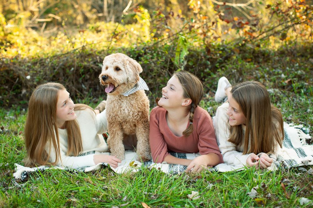family lifestyle session | the wheeler family - Photography by Angelique