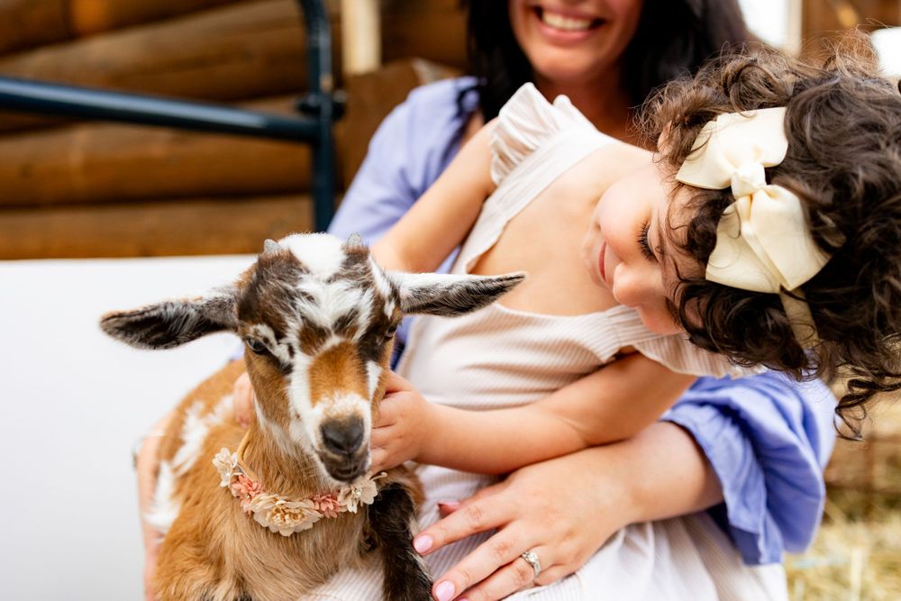 Goat & Chick Minis at Hunts Haven Farm - Shore Love Photography