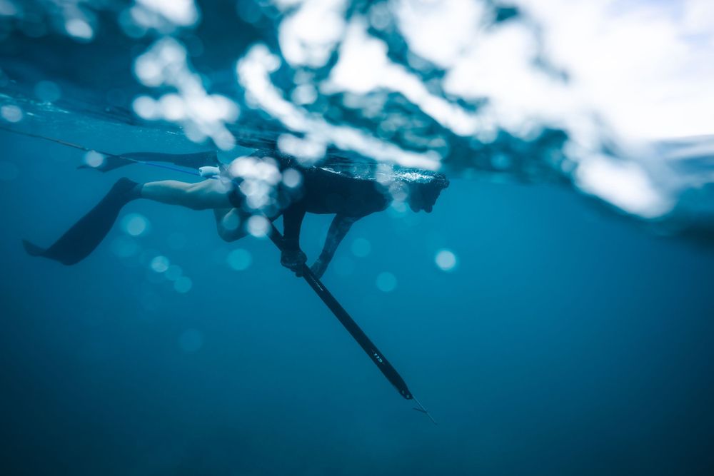 Saltwater Escapades - Stephen Catalano