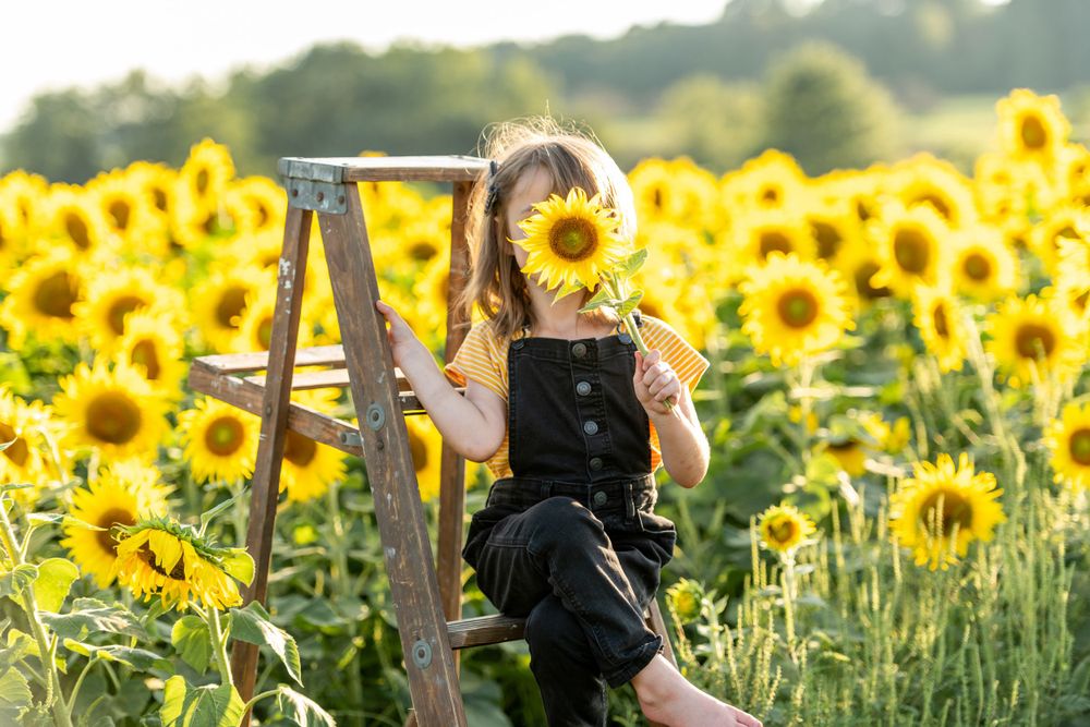 Tips for Choosing Outfits for Your Summer Mini Sessions - LS The ...