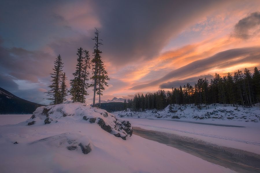 Fuji XT5 Recipes