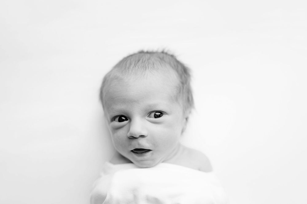 Baby Mugshots - Applegum Photography