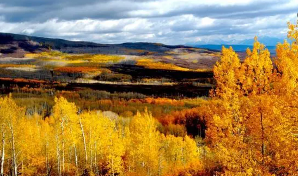 Why Fall Is the Perfect Time for Family Photos in Grand Junction ...