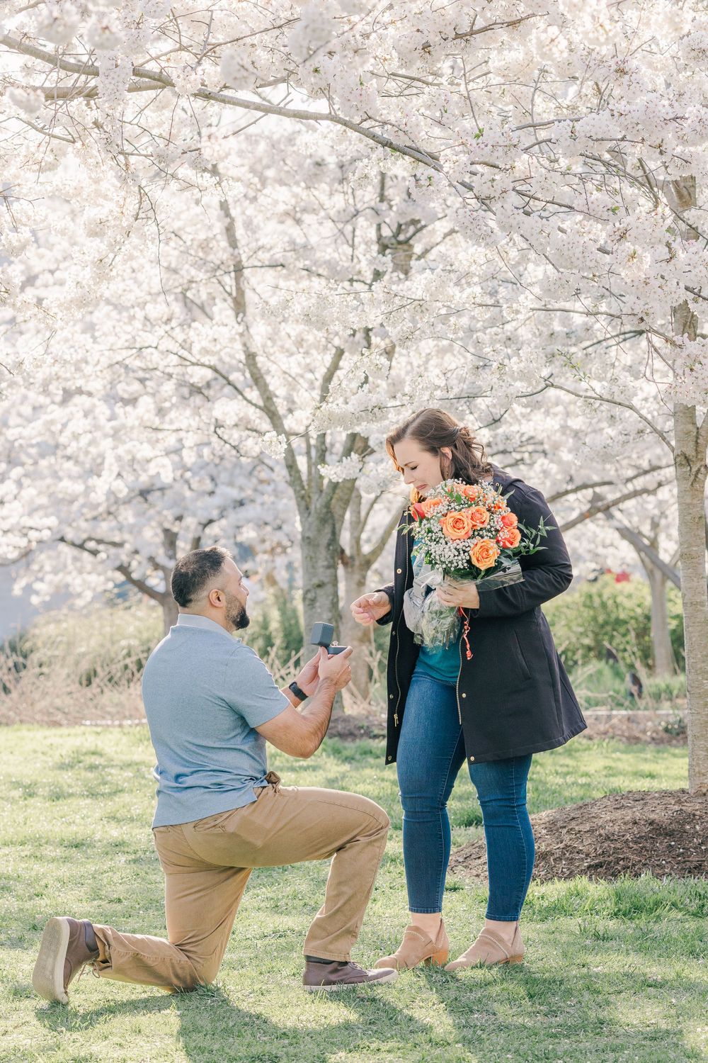 Tidal Basin Cherry Blossom Surprise Proposal with Alyssa & John ...
