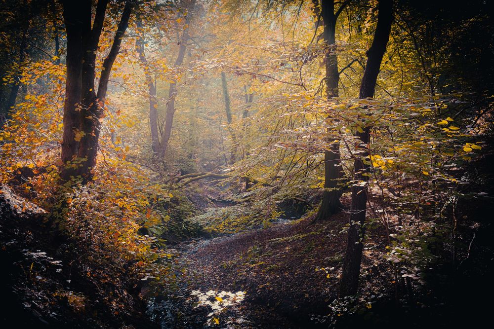 Observation & mindfulness - Leeds Photographer