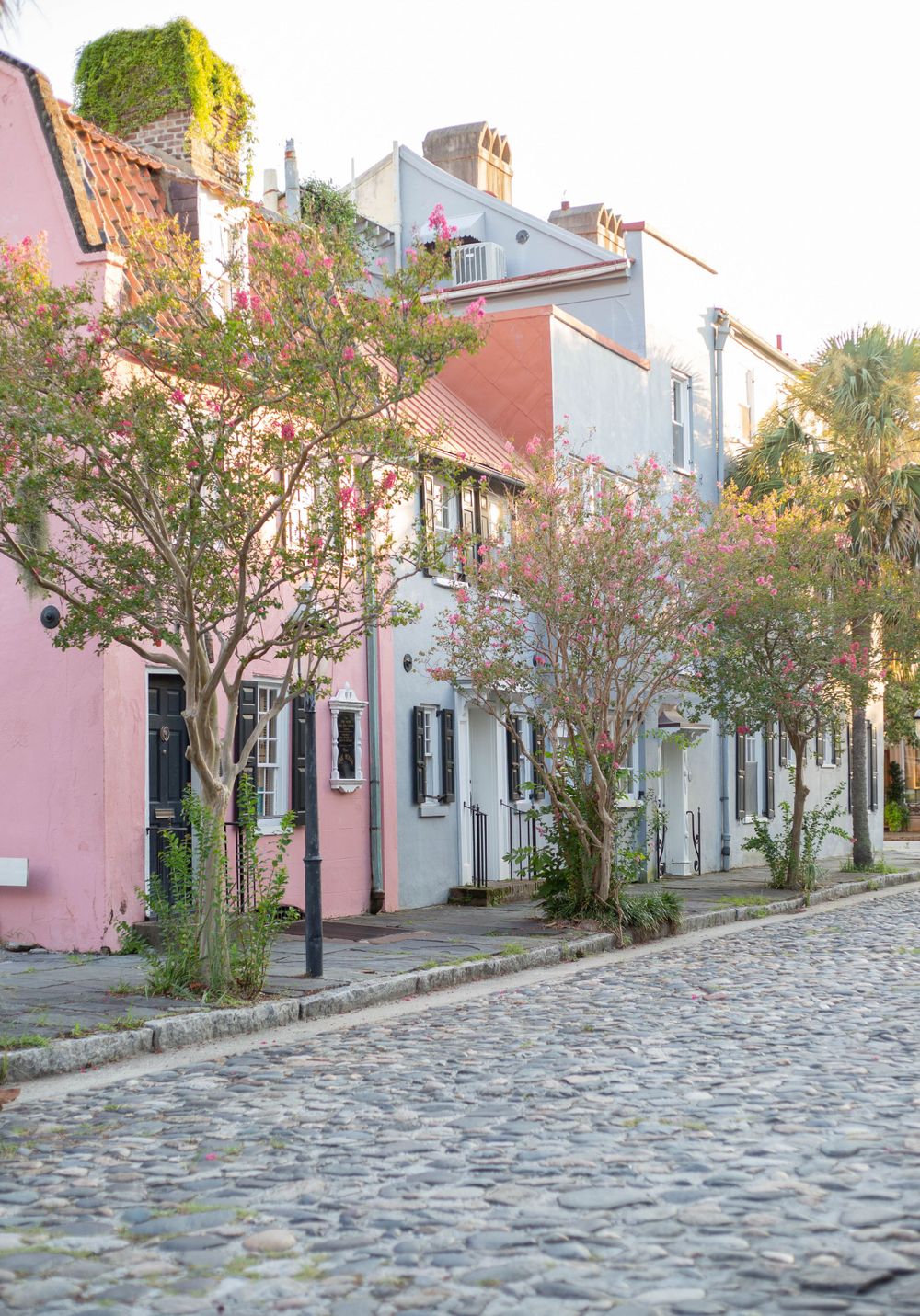 All You Need to Know About Mini Sessions - Allie Bee Photography